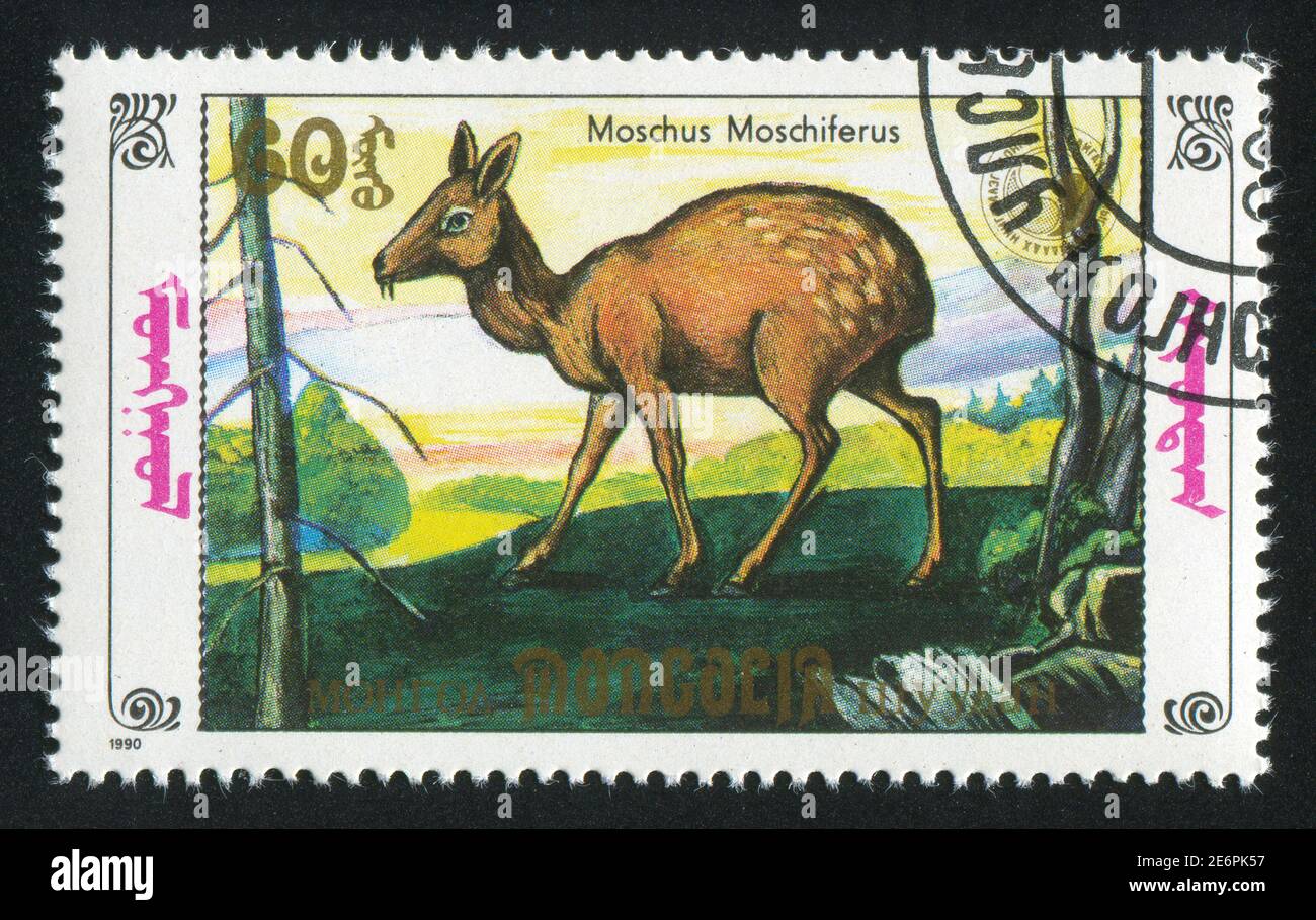 MONGOLIA - CIRCA 1990: stamp printed by Mongolia, shows Moschus ...