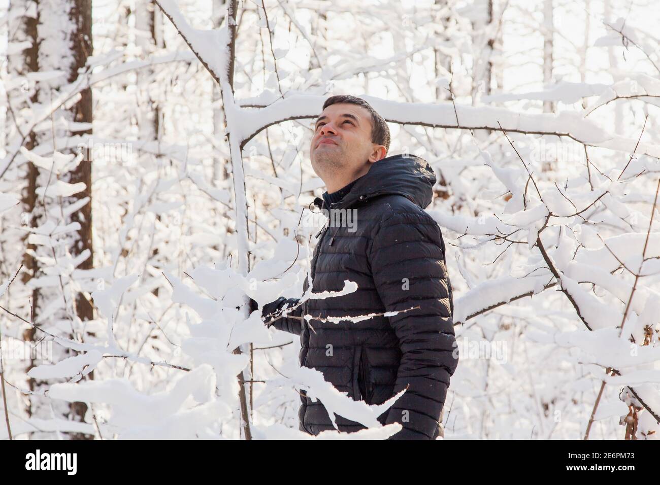 Man shakes tree snowfall hi-res stock photography and images - Alamy