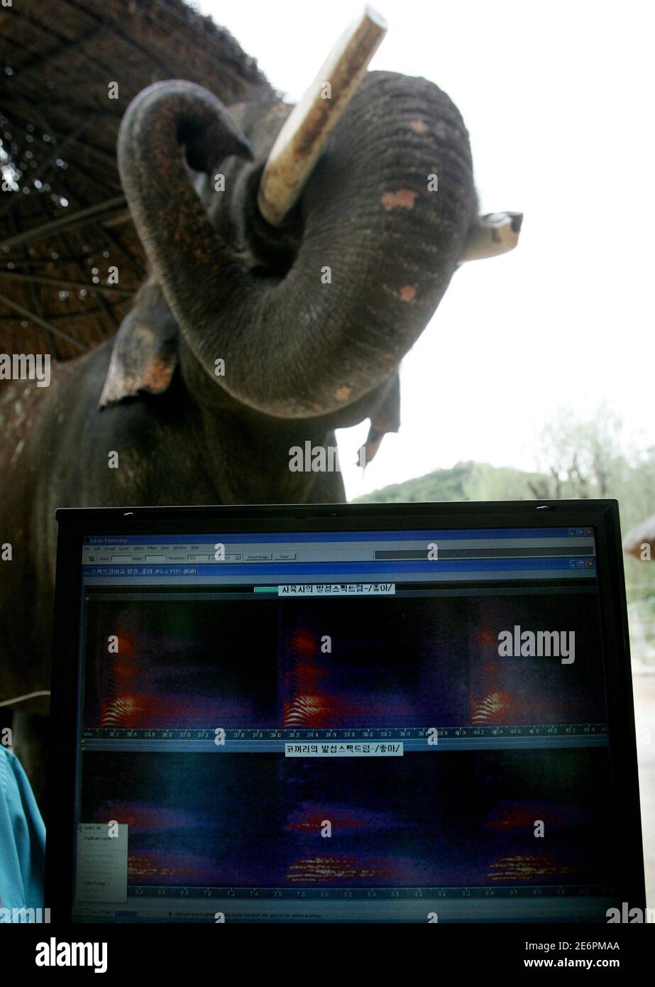 Mimic words hi-res stock photography and images - Alamy