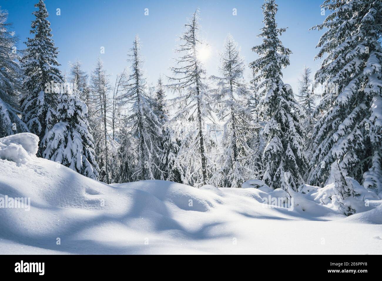 Frosty Scenery Landscape High Resolution Stock Photography and Images ...