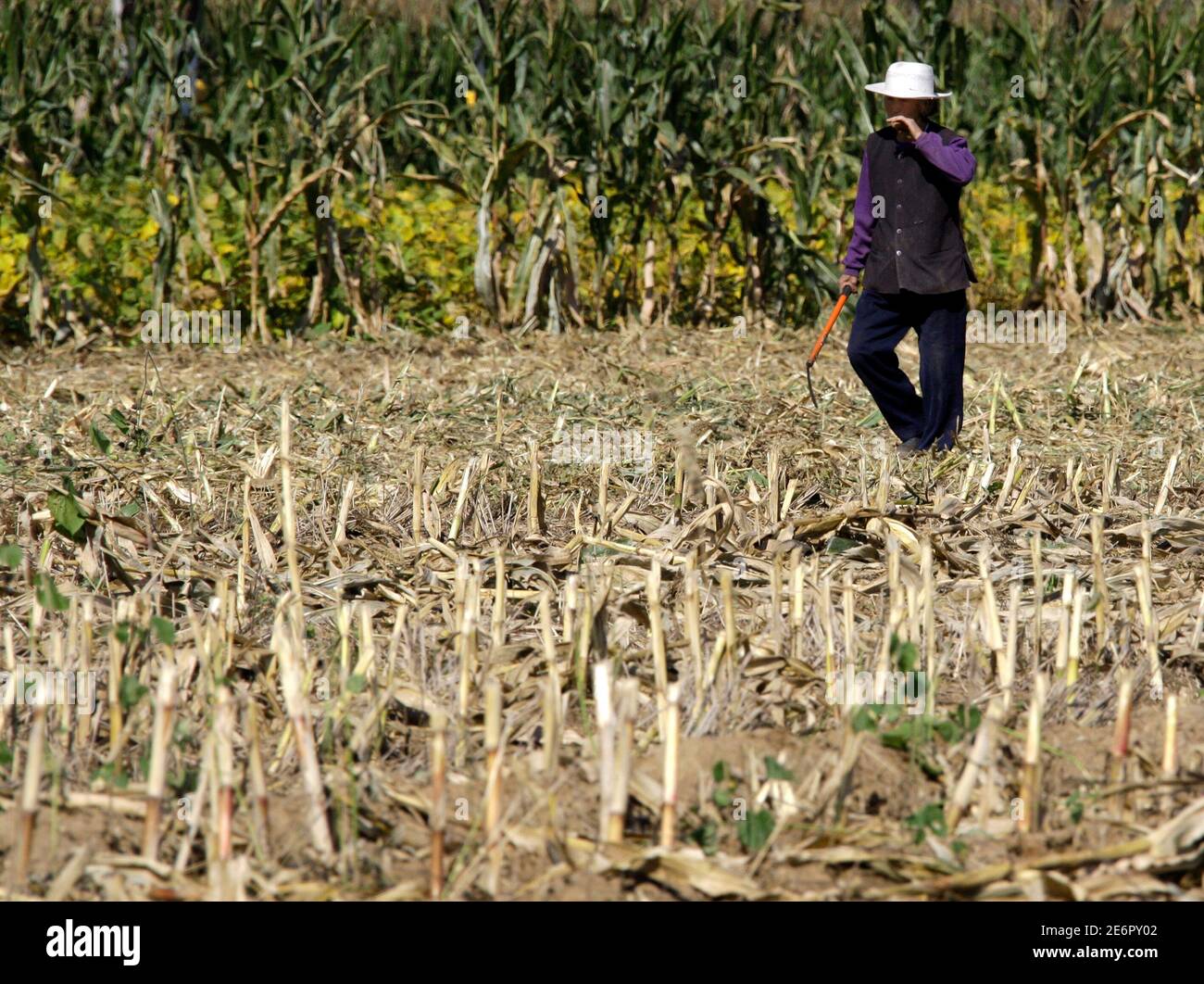 Shi system hi-res stock photography and images - Alamy