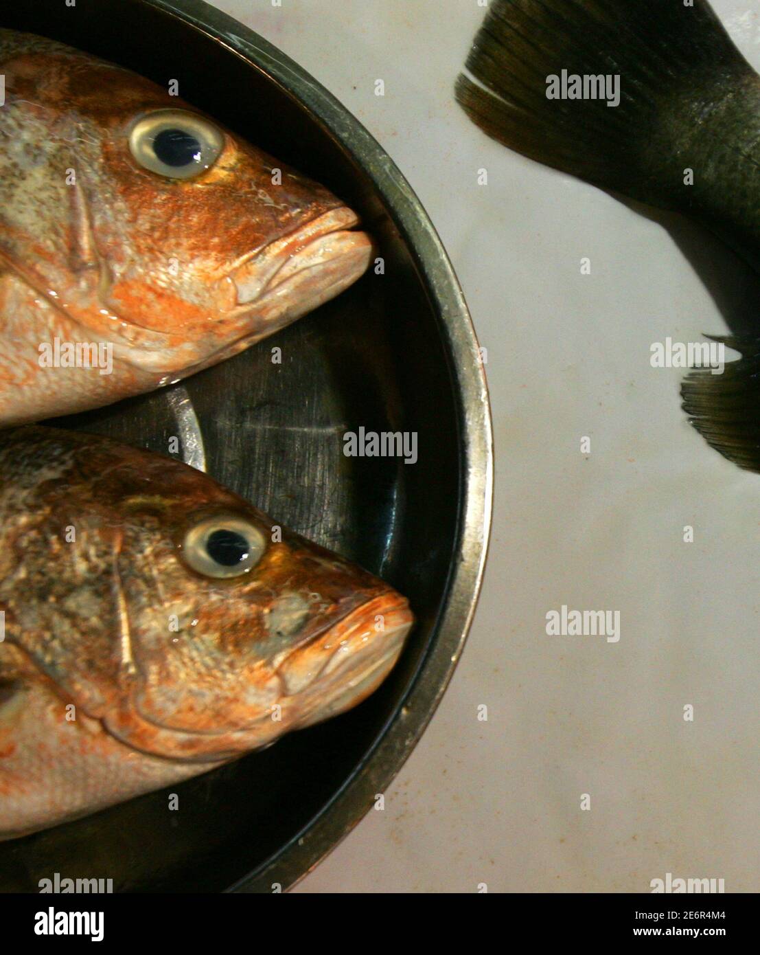 Suspected of causing cancer hi-res stock photography and images - Alamy