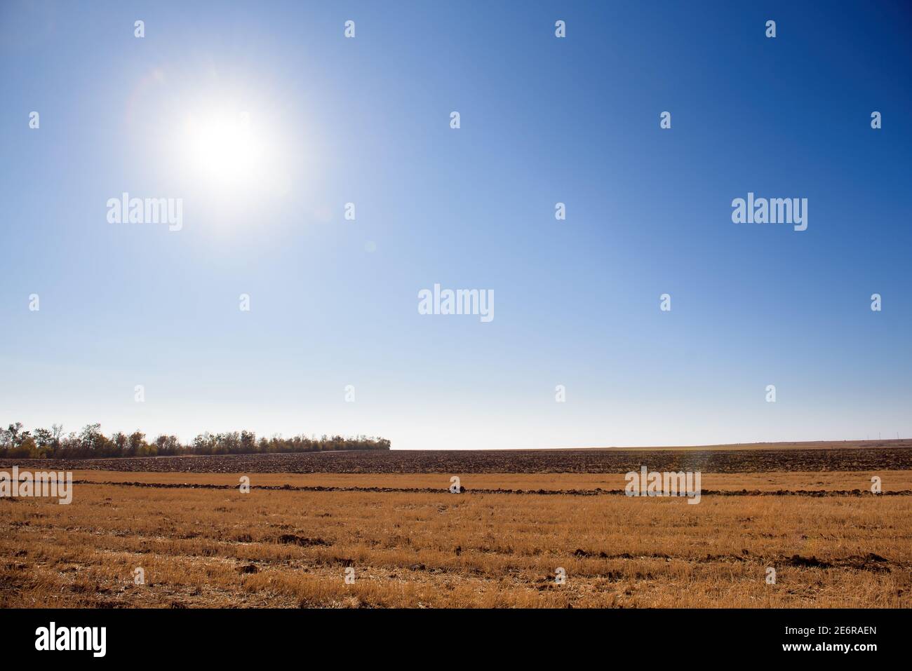 Farmer preparing his field in a tractor ready for spring Stock Photo ...
