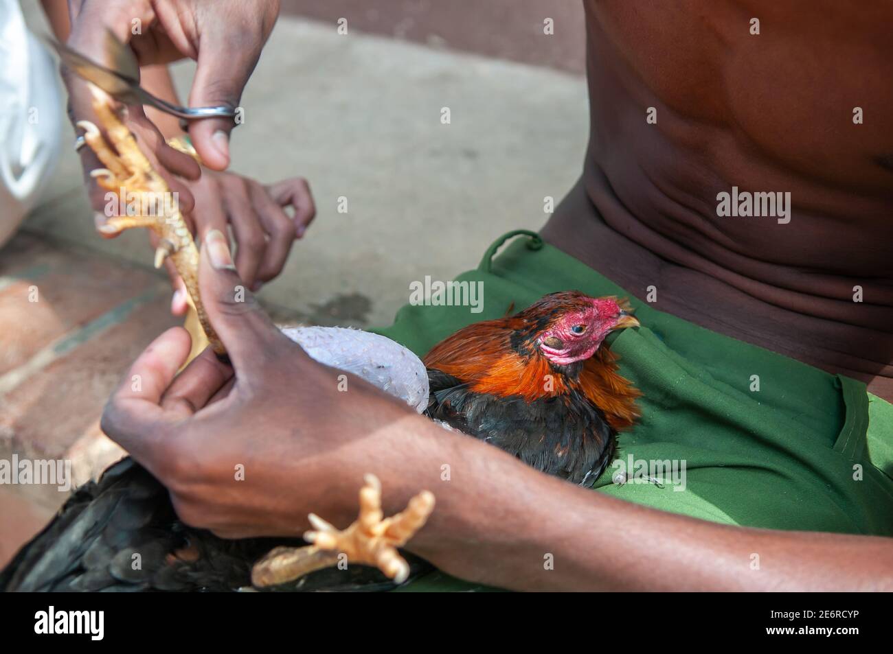 La Havana, Cuba. 04-15-2018. A young man cutting the nails of his ...