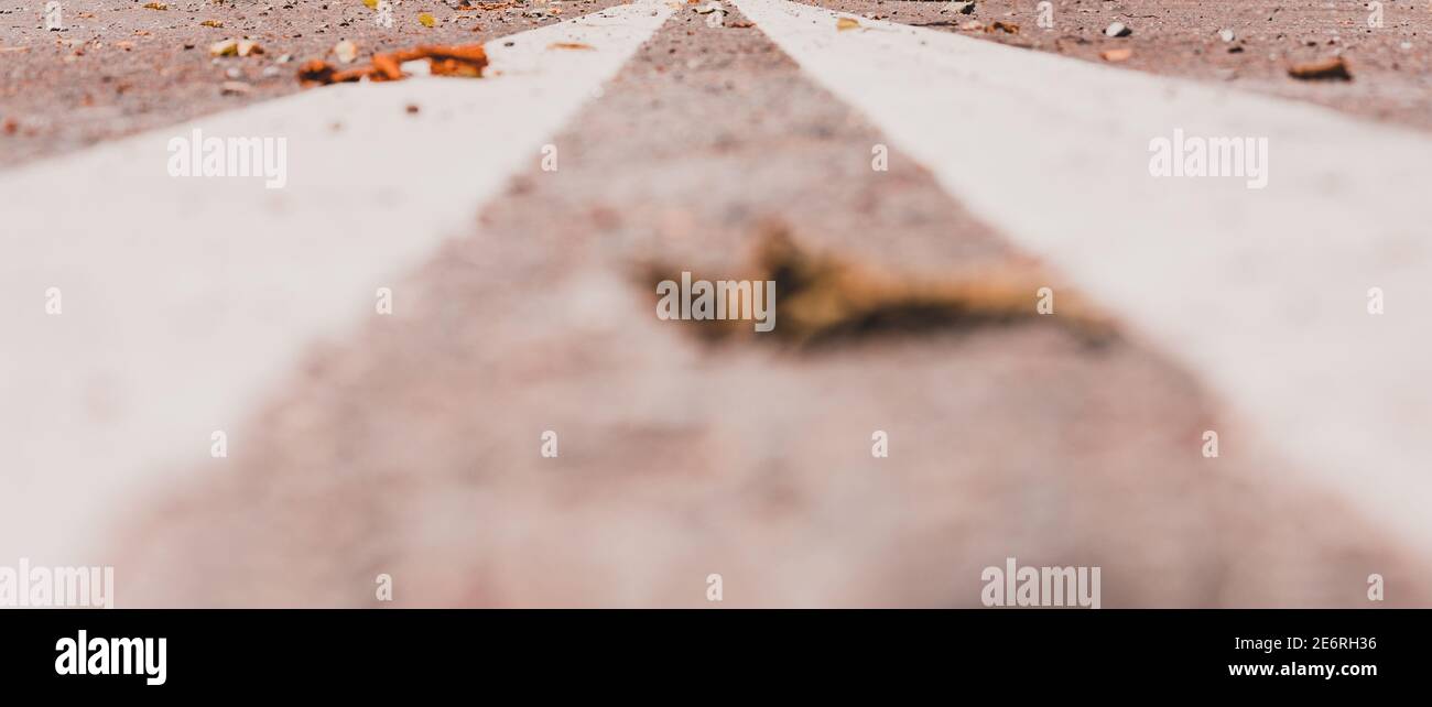 Double lane, road markings, lane lines close up.2020 Stock Photo - Alamy