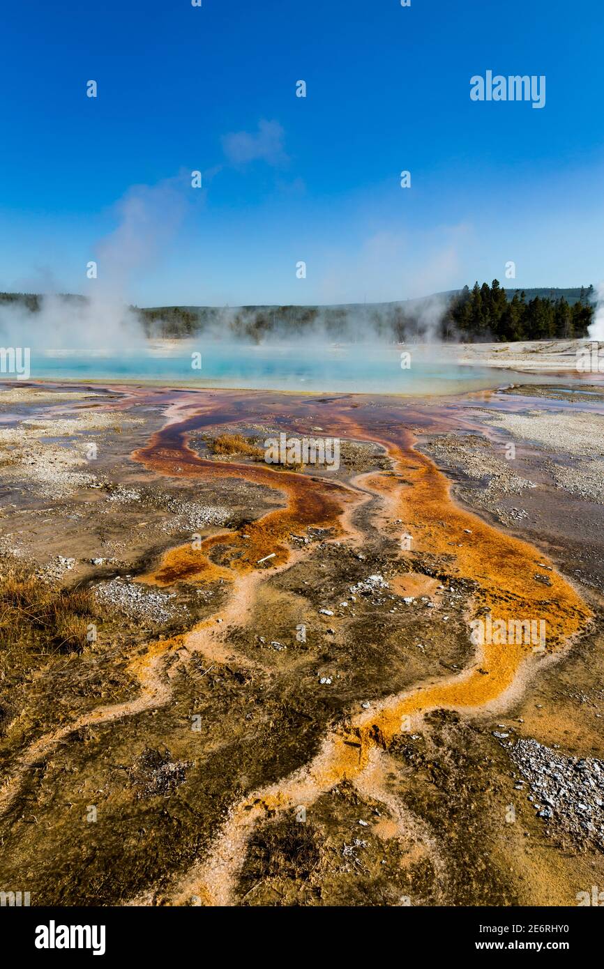 Hot springs are the most common hydro-thermal features at Yellowstone ...
