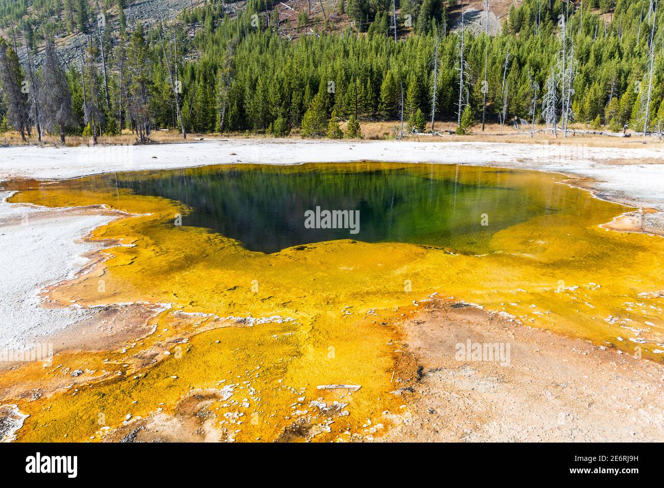 Hot springs are the most common hydro-thermal features at Yellowstone ...