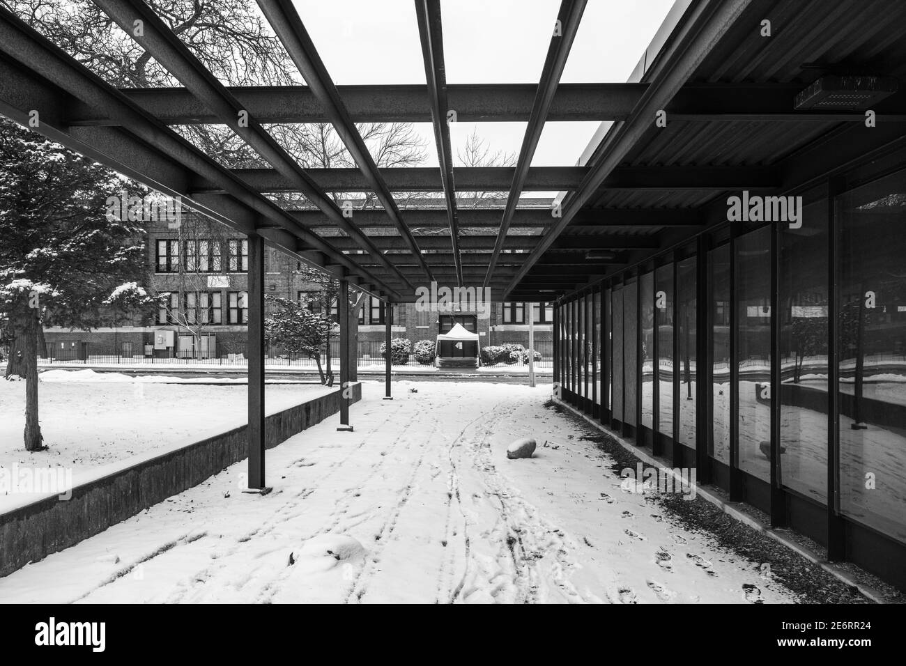 Forest library hi-res stock photography and images - Alamy