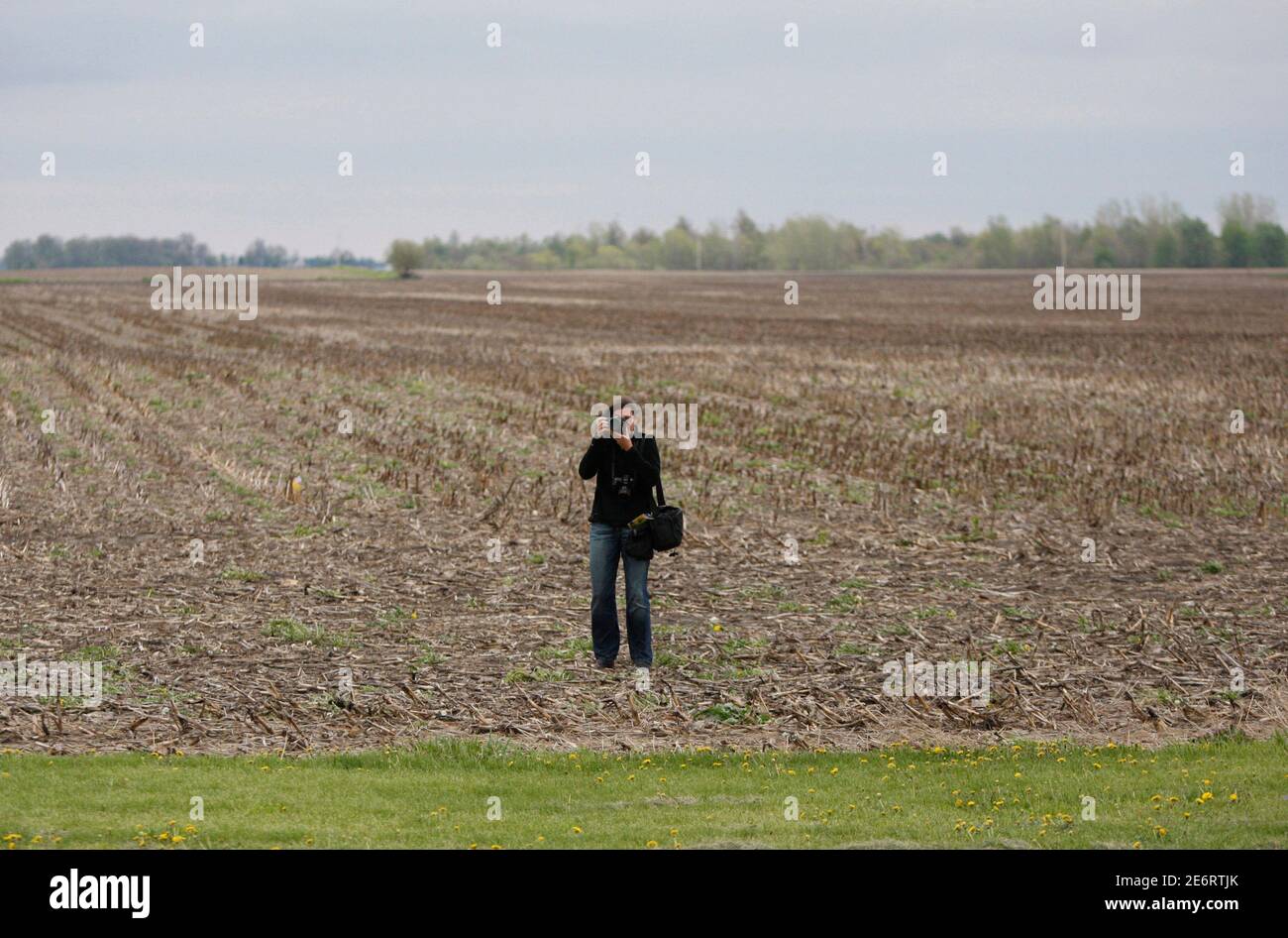 Callie shell hi-res stock photography and images - Alamy