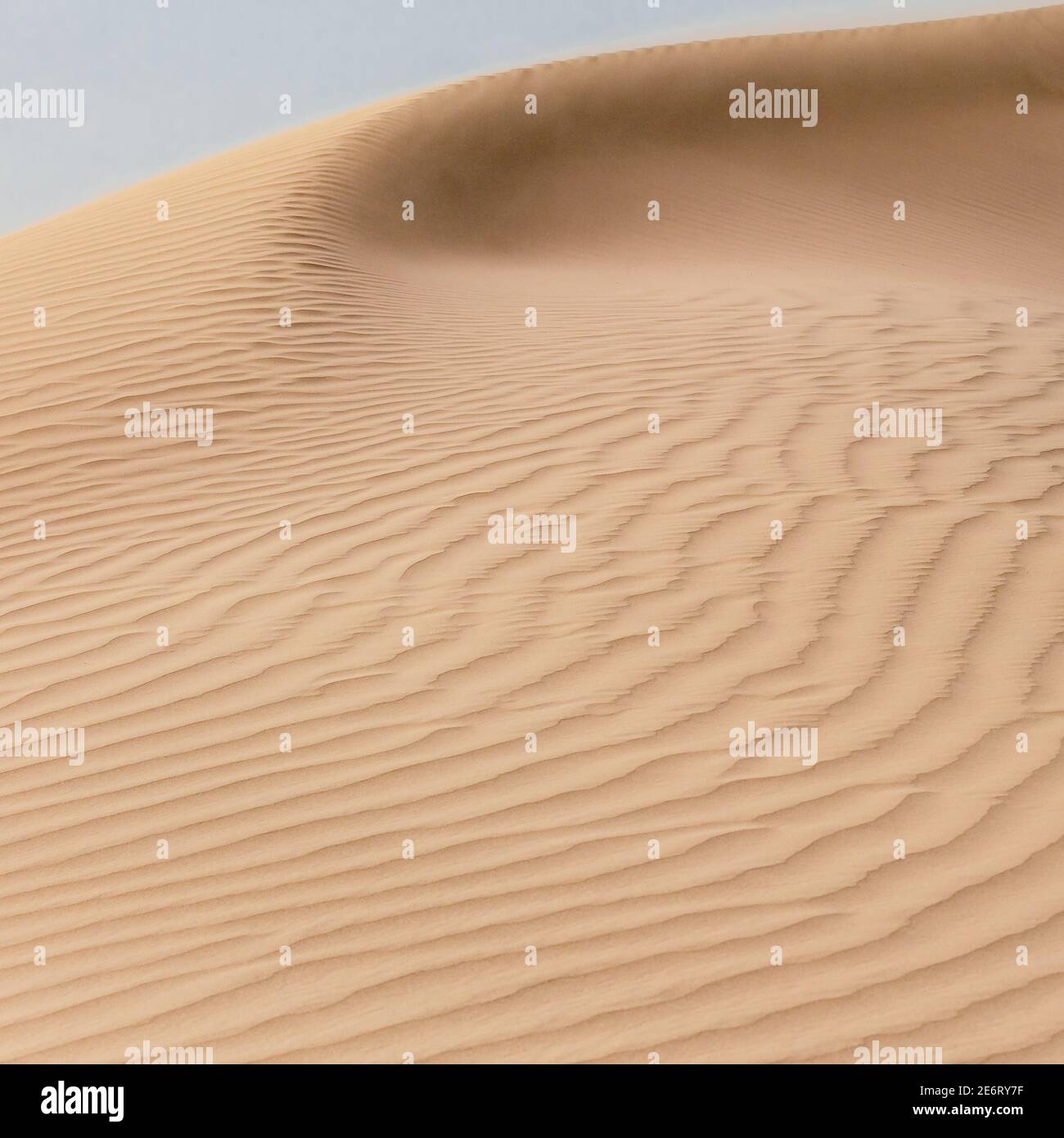 Bright sand dunes in a desert Stock Photo - Alamy