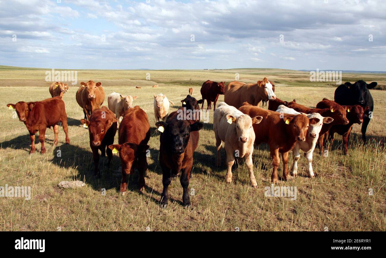 Extremely soft hi-res stock photography and images - Alamy