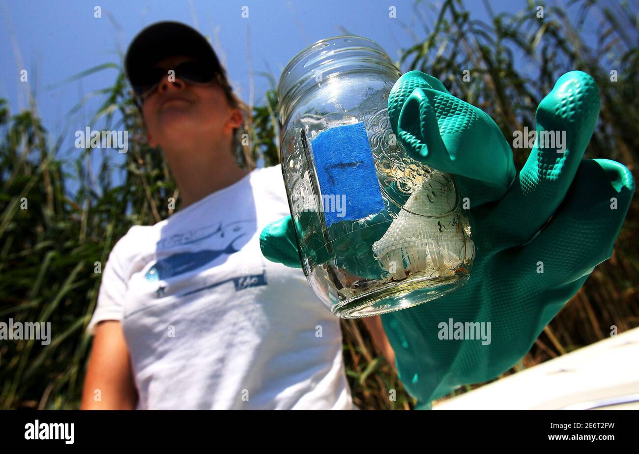 Oil spill sample hi-res stock photography and images - Alamy