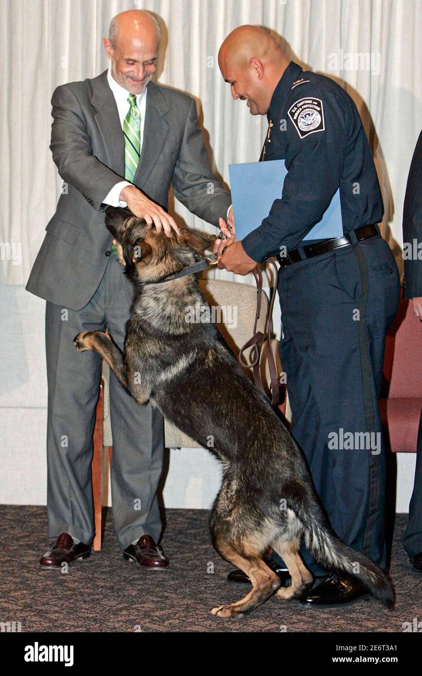 Customs and border protection canine program hi-res stock photography ...