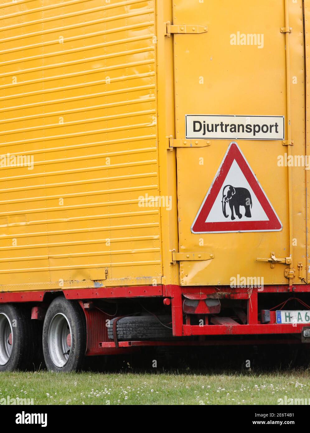 An elephant carrying cargo hi-res stock photography and images - Alamy