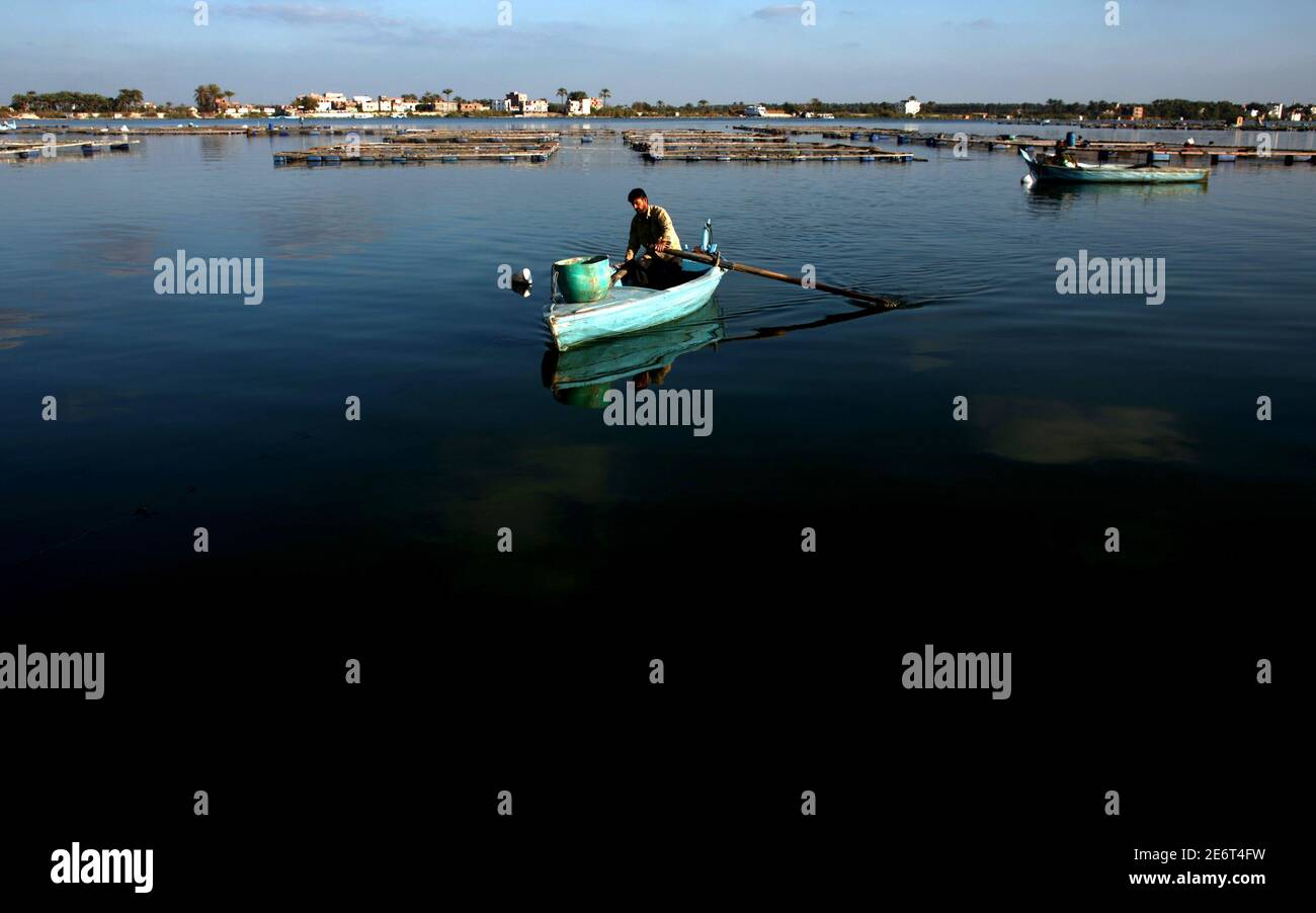 Nile delta farming hi-res stock photography and images - Alamy