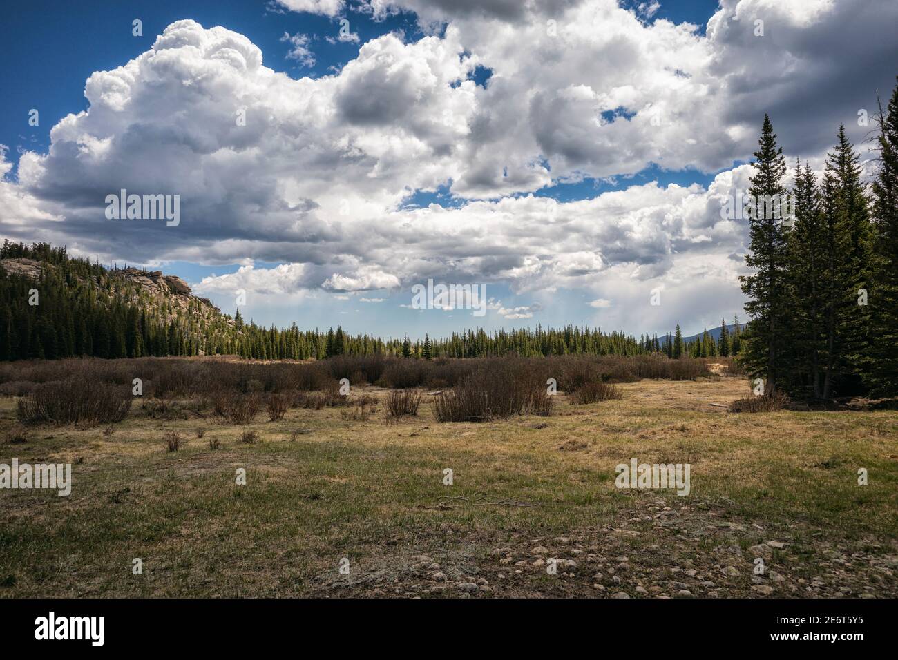 Forest Landscape in the Mount Evans Wilderness, Colorado Stock Photo ...