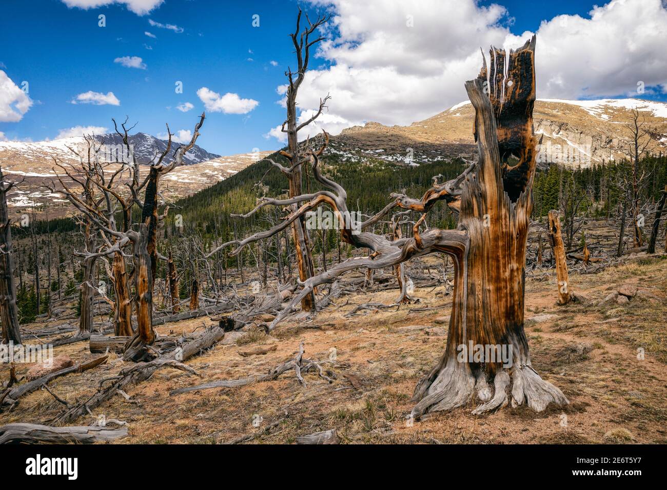 Burn scar hi-res stock photography and images - Alamy