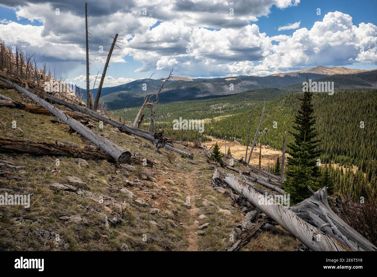 Landscape in the Mount Evans Wilderness, Colorado Stock Photo - Alamy