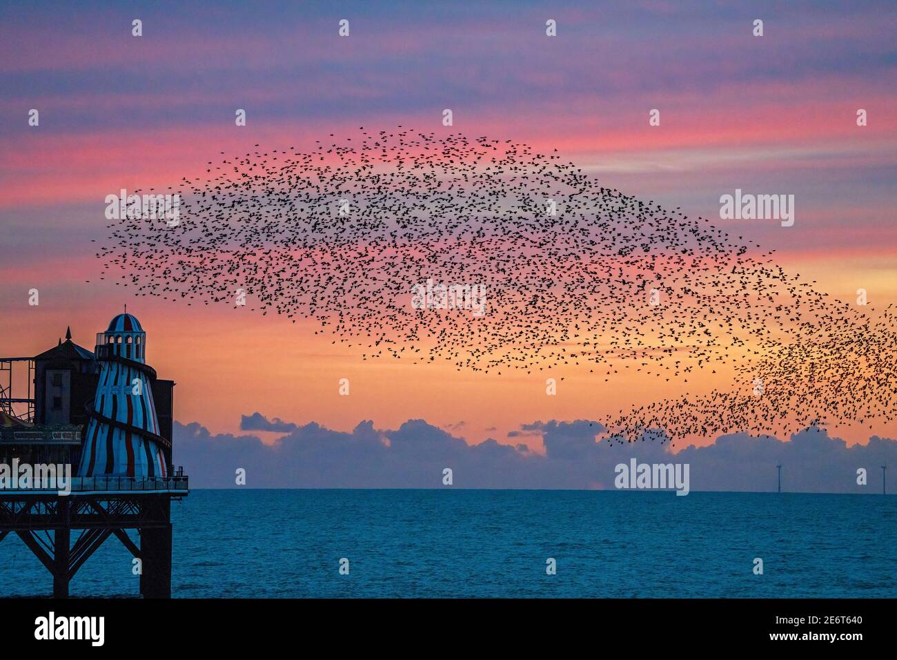 Starling murmuration uk hi-res stock photography and images - Alamy