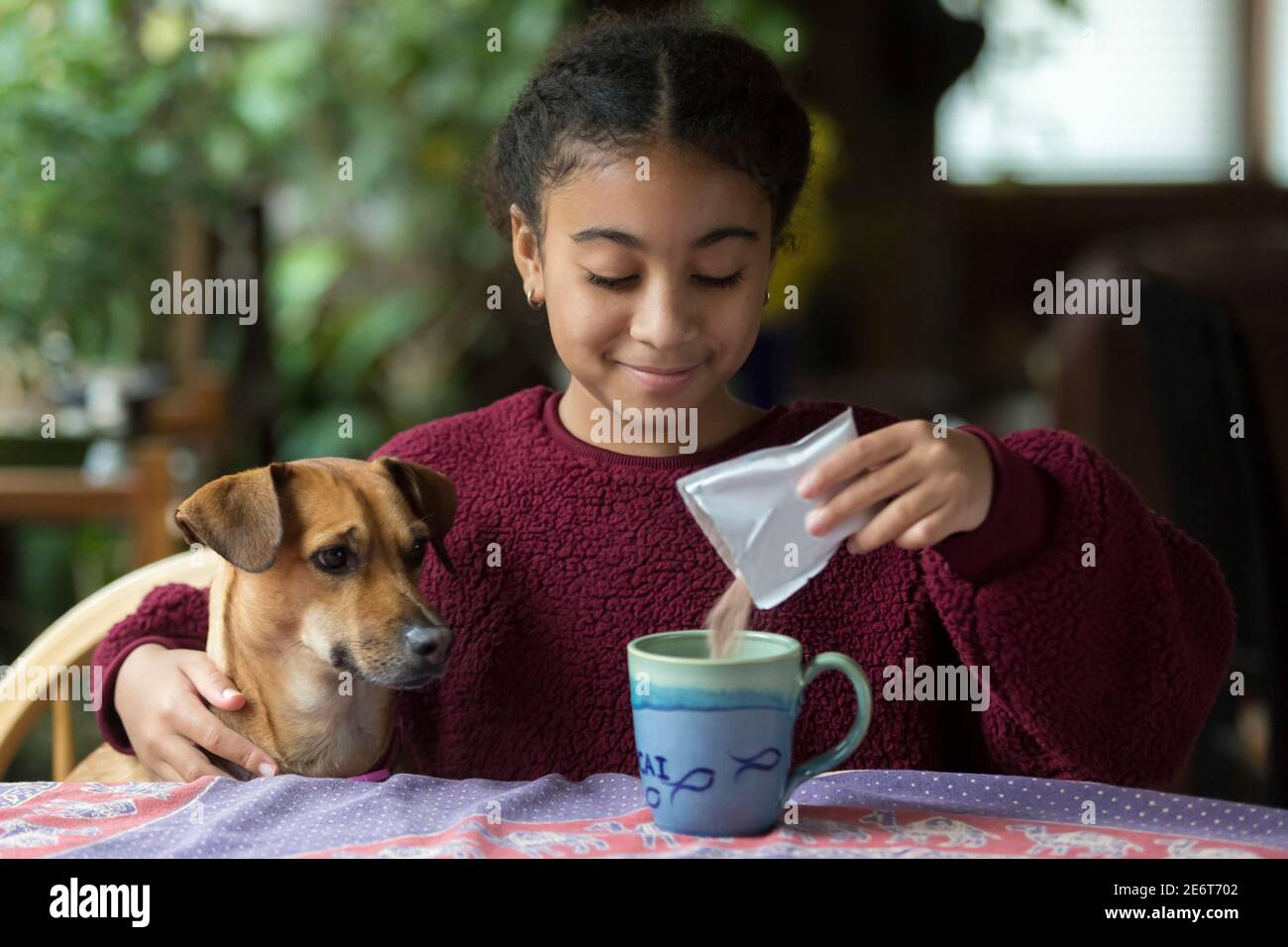 Black teen girl dog hi-res stock photography and images - Alamy