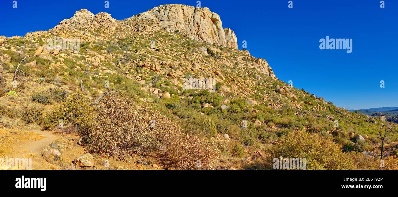 Prescott forest hi-res stock photography and images - Alamy