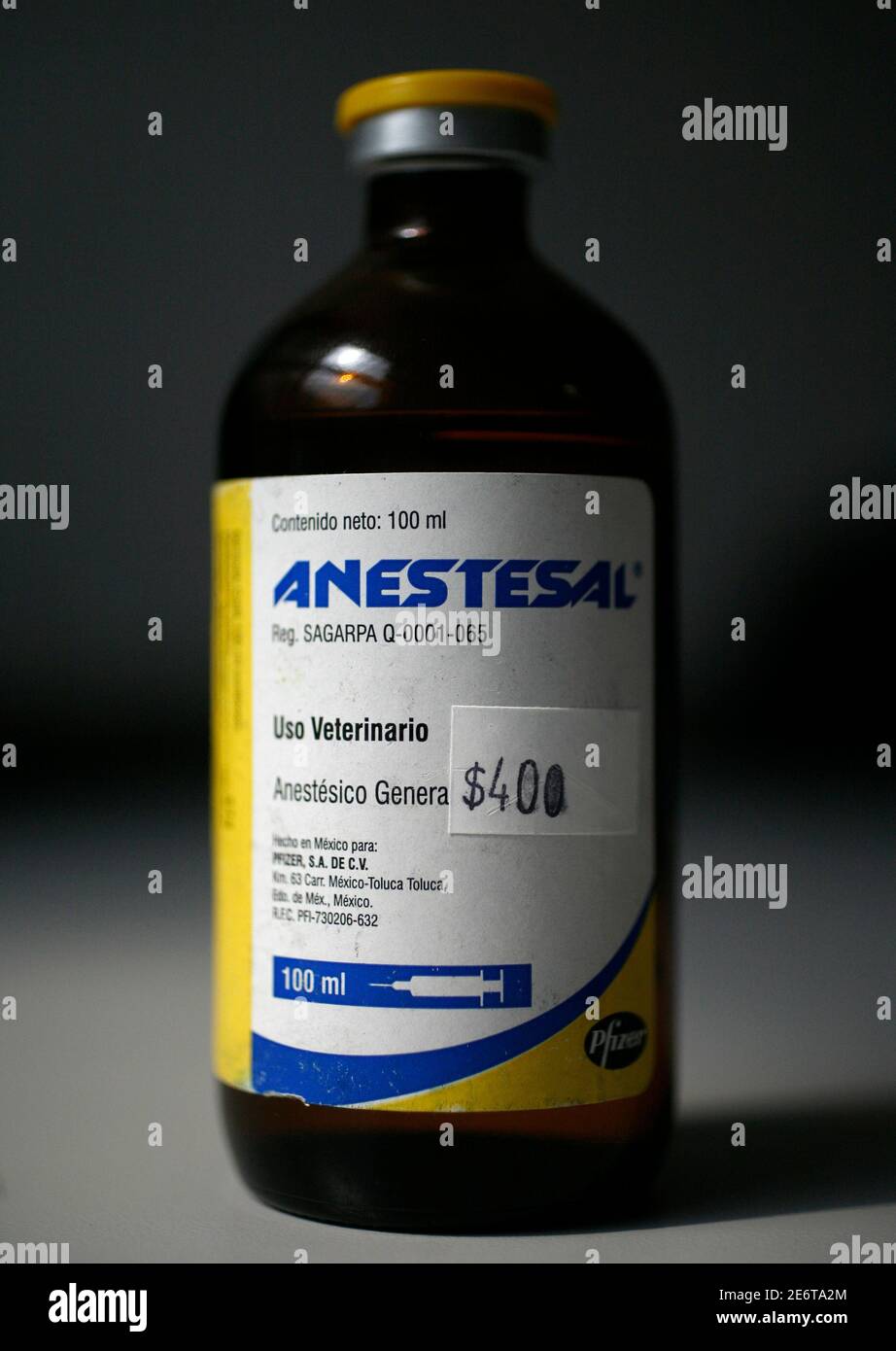 Pentobarbital hi-res stock photography and images - Alamy