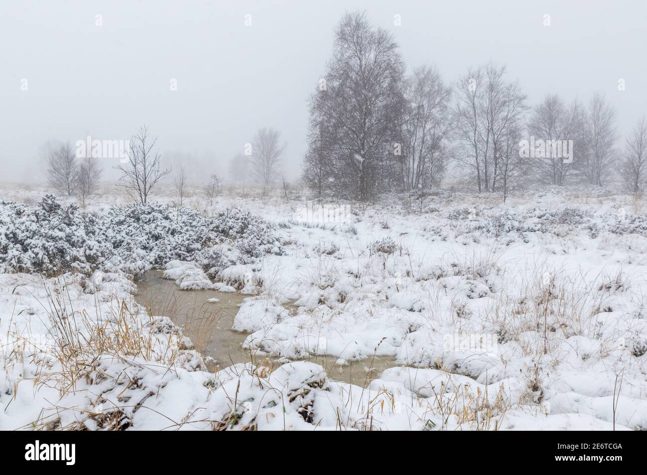 Snow covers the landscape, Yorkshire UK Stock Photo - Alamy