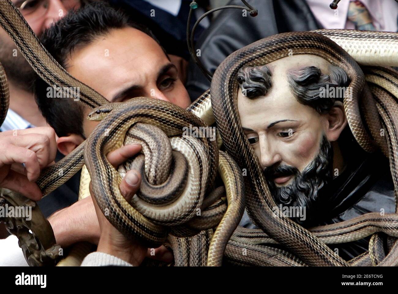File snake hi-res stock photography and images - Alamy