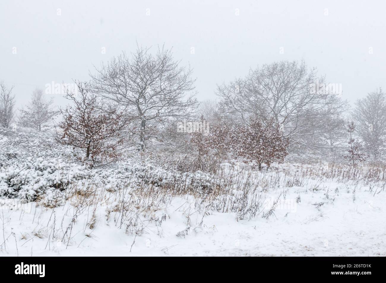 Snow covers the landscape, Yorkshire UK Stock Photo - Alamy