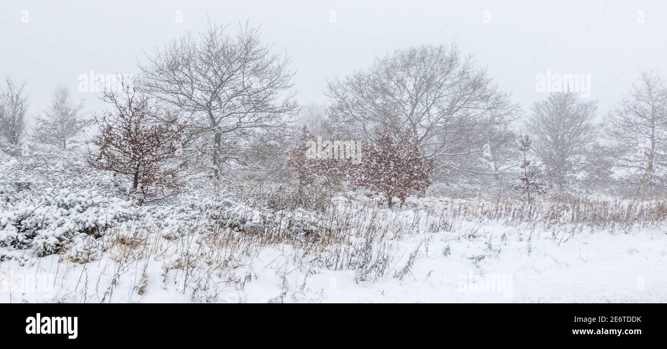 Snow covers the landscape, Yorkshire UK Stock Photo - Alamy