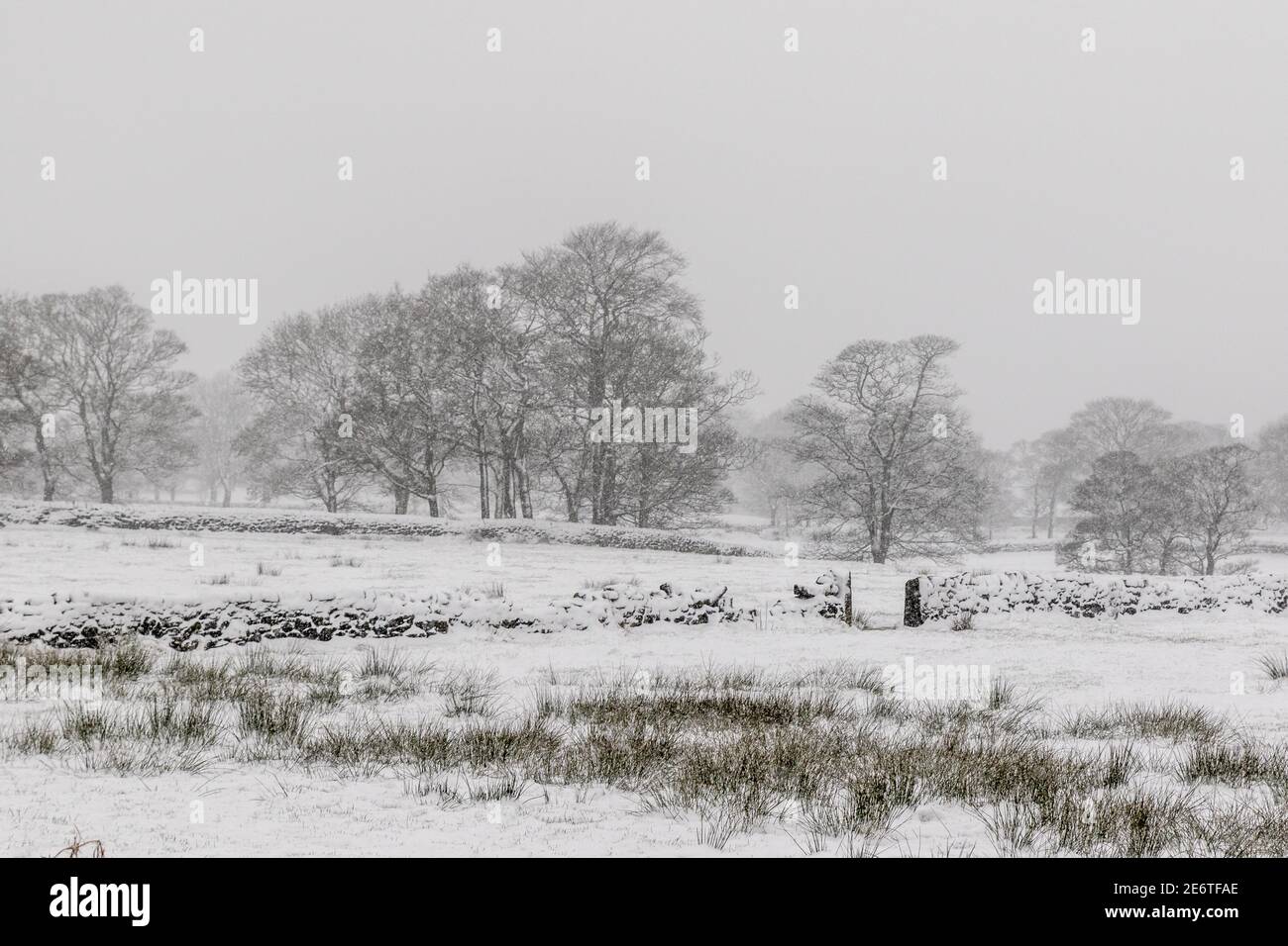 Snow covers the landscape, Yorkshire UK Stock Photo - Alamy