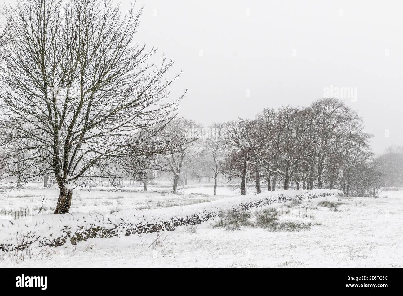 Snow covers the landscape, Yorkshire UK Stock Photo - Alamy