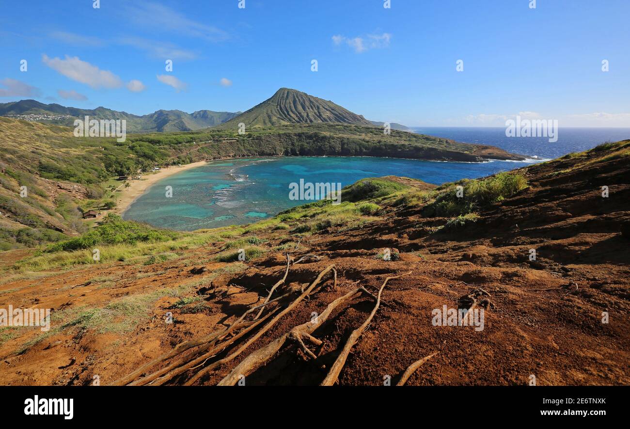 Hanauma Bay and roots - Oahu, Hawaii Stock Photo - Alamy