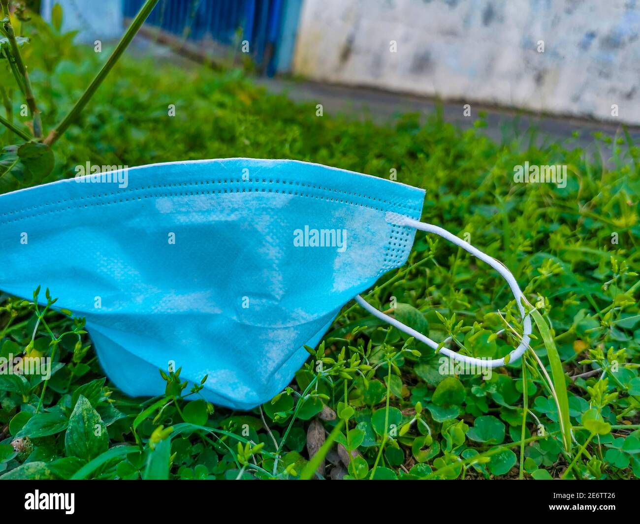 Surgical blue masks in nature. Corona virus pollution. Covid19. Corona ...