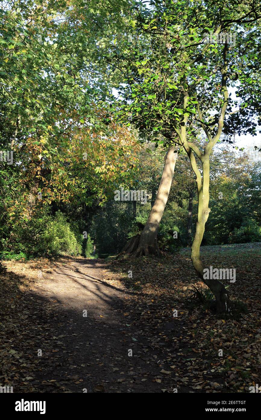 Sandgate park hi-res stock photography and images - Alamy