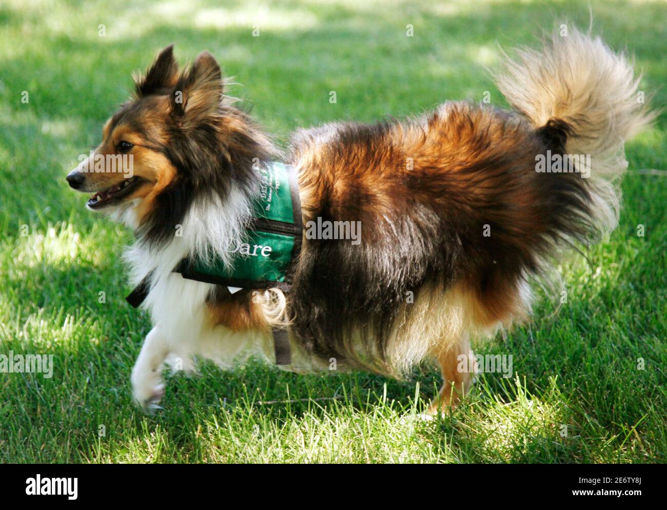 Visit ms hi-res stock photography and images - Alamy