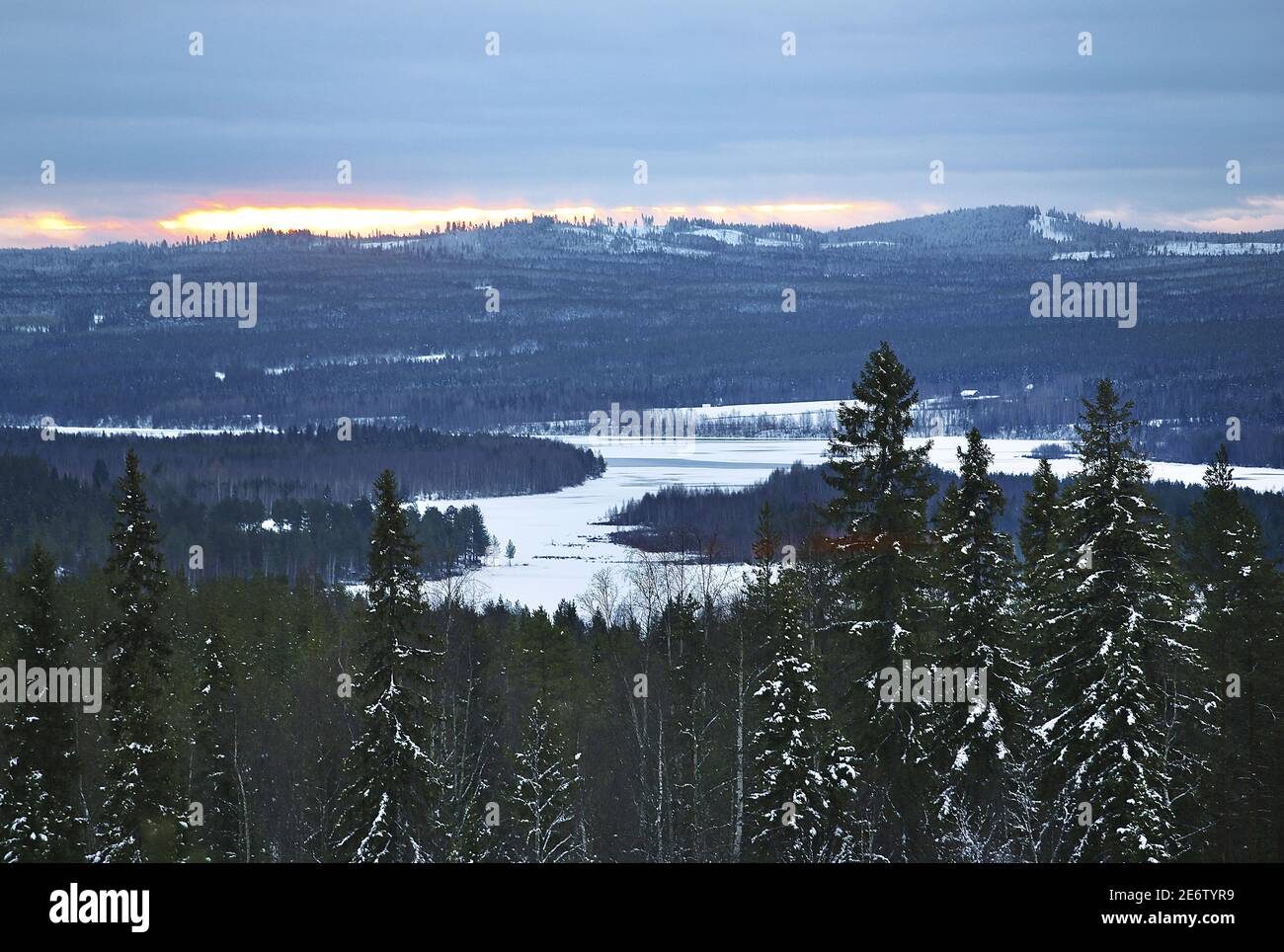 Sweden, Lapland, Norrbotten County, Harads, Harads boreal forest dotted ...