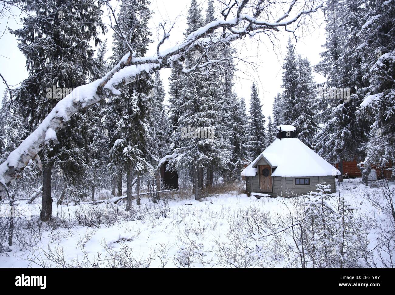 Sweden, Lapland, Norrbotten County, Harads forest, small wooden house ...