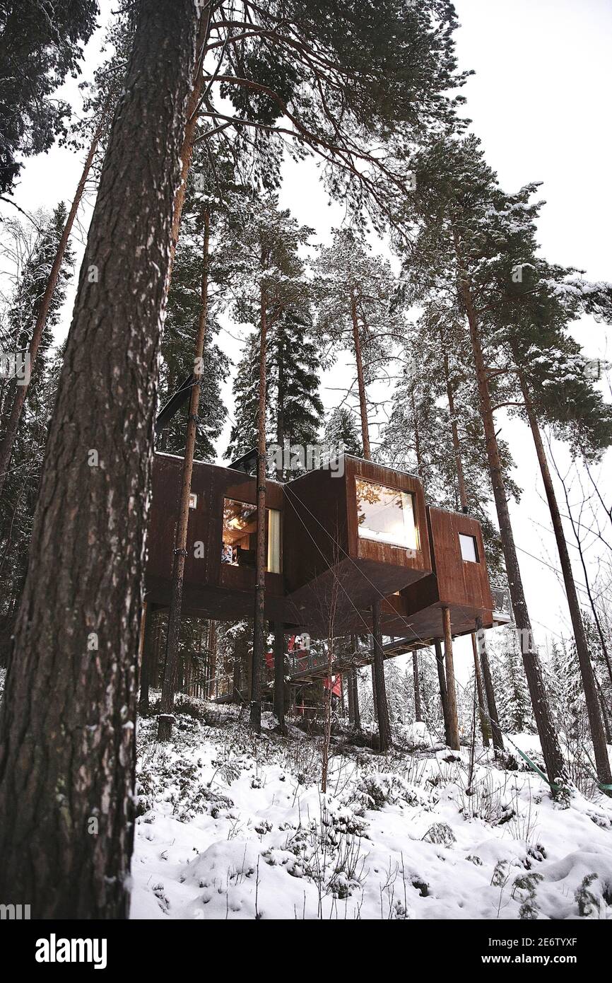 Forest Hut Hotel