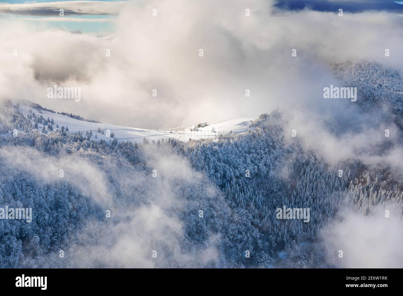 Hagg hi-res stock photography and images - Alamy