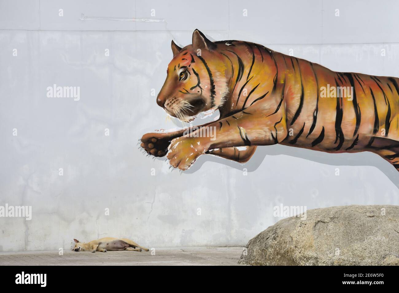 Myanmar (Burma), Bago (Pegu), Tiger fresco leaping on a sleepy dog ...