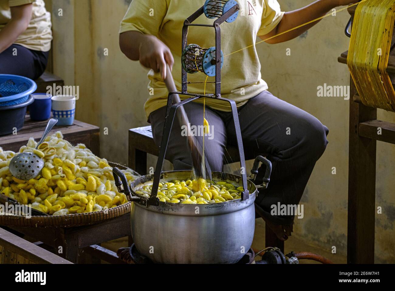 Cambodia, handicraft, silk work, extracting thread from the cocoon ...