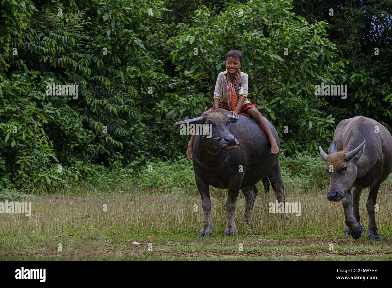 Cambodia, Kompong Thom province, Kompong Thom or Kampong Thom Stock Photo - Alamy