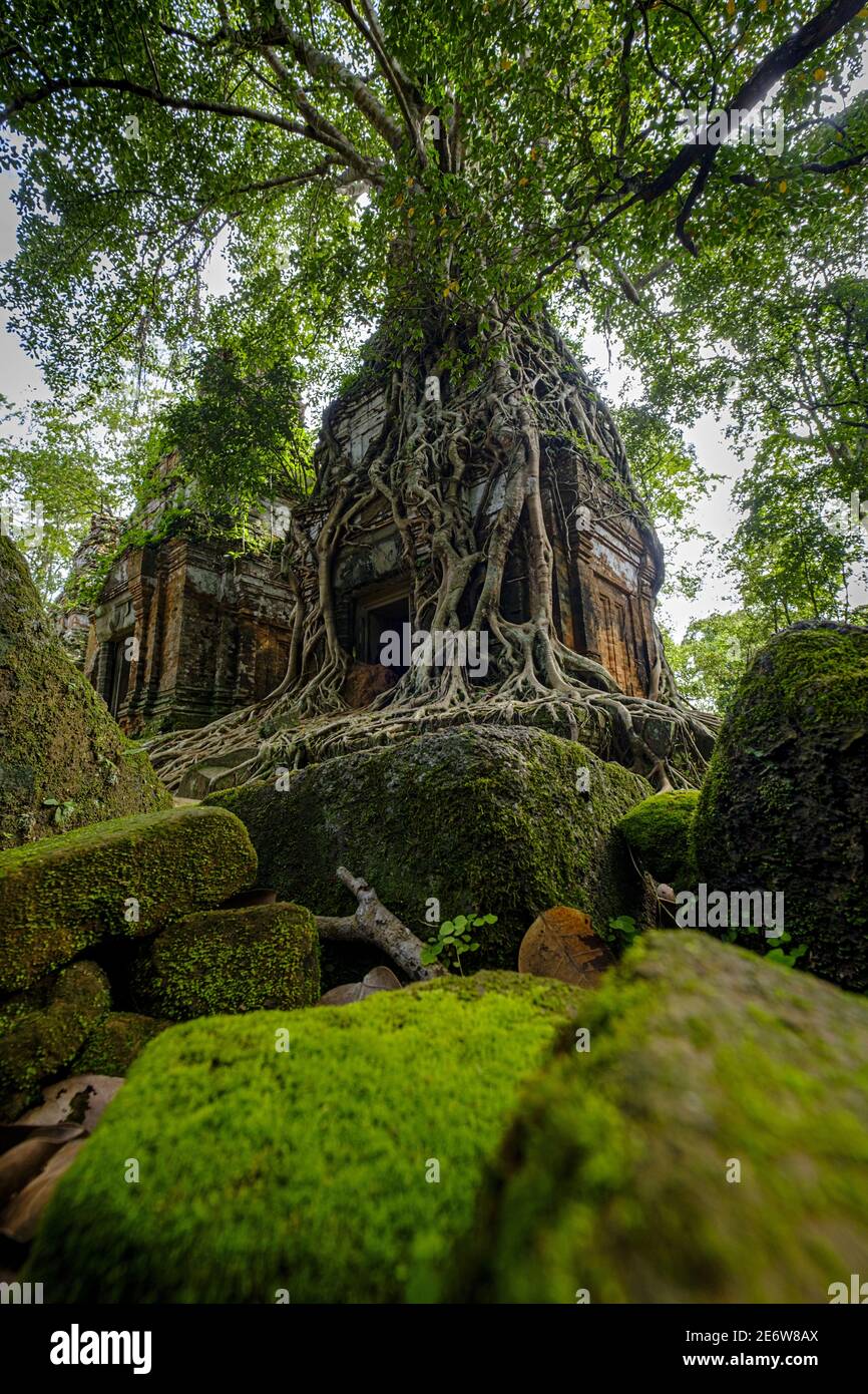 Cambodia, Koh Ker, former Khmer capital in X century under Jayavarman ...