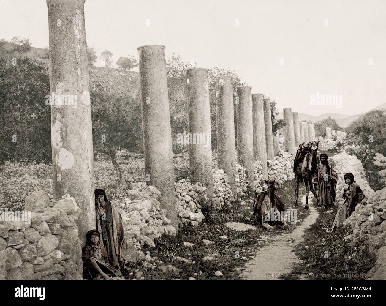 Vintage 19th century photograph: The Colonnade, Samaria, Holy Land ...