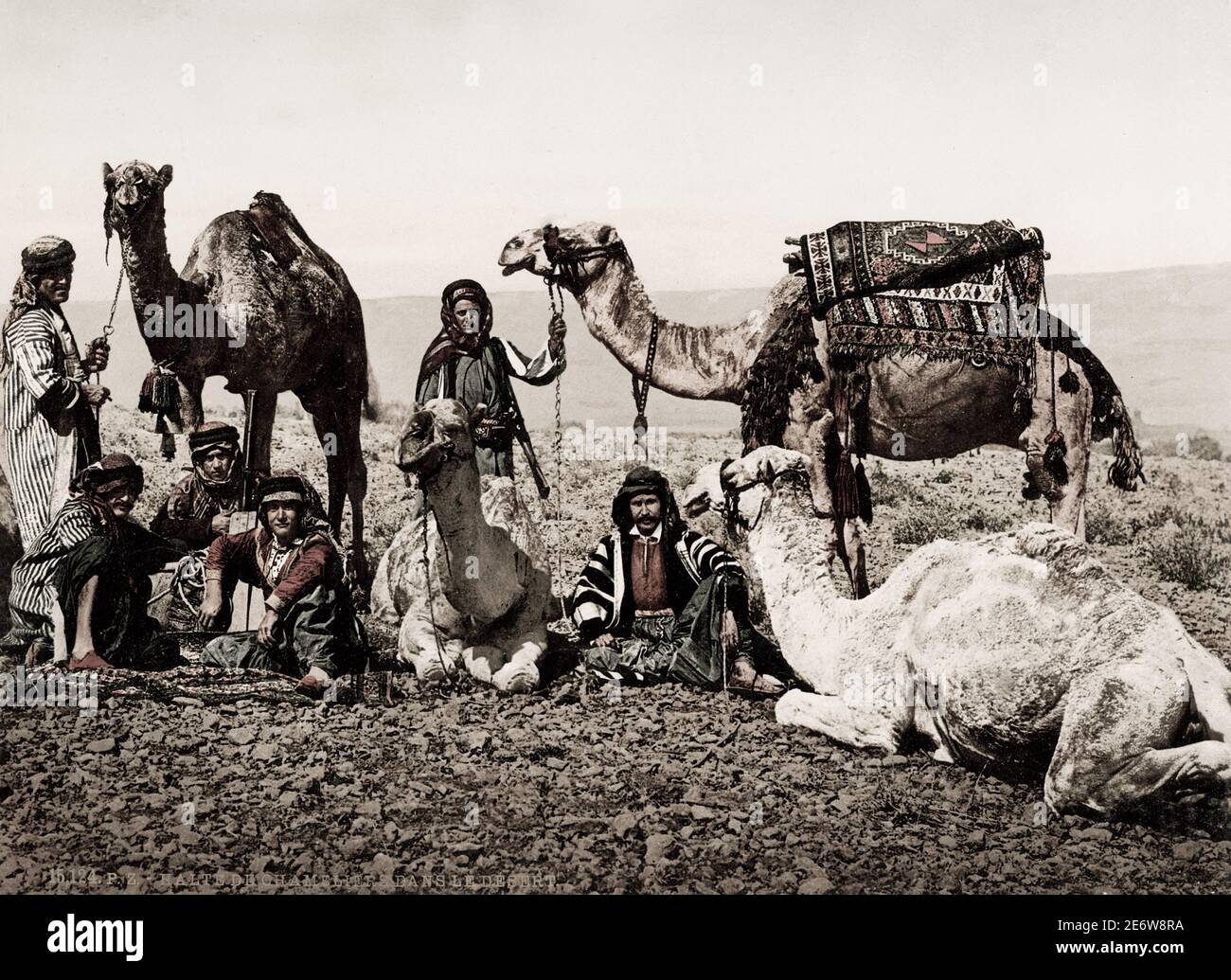Vintage 19th century photograph: Egypt, halt of a camel train in the ...
