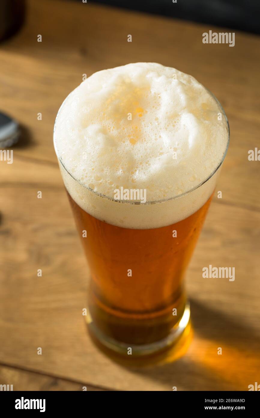 Boozy Golden Beer Ale in a Tall Glass with Foam Stock Photo - Alamy