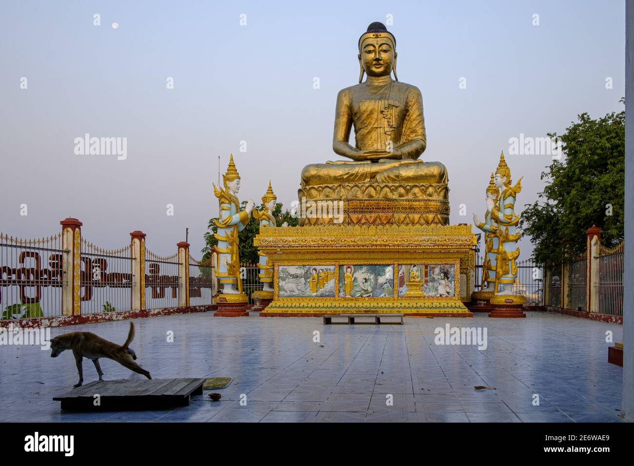 Shin nam hi-res stock photography and images - Alamy