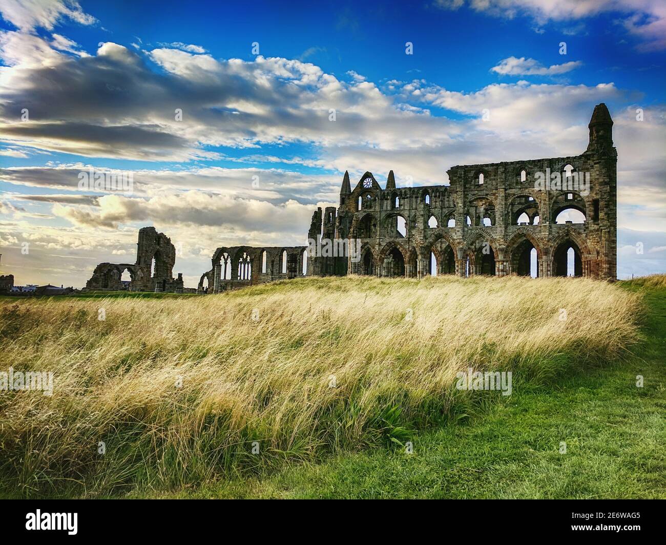 Abbey ruins in field hi-res stock photography and images - Alamy