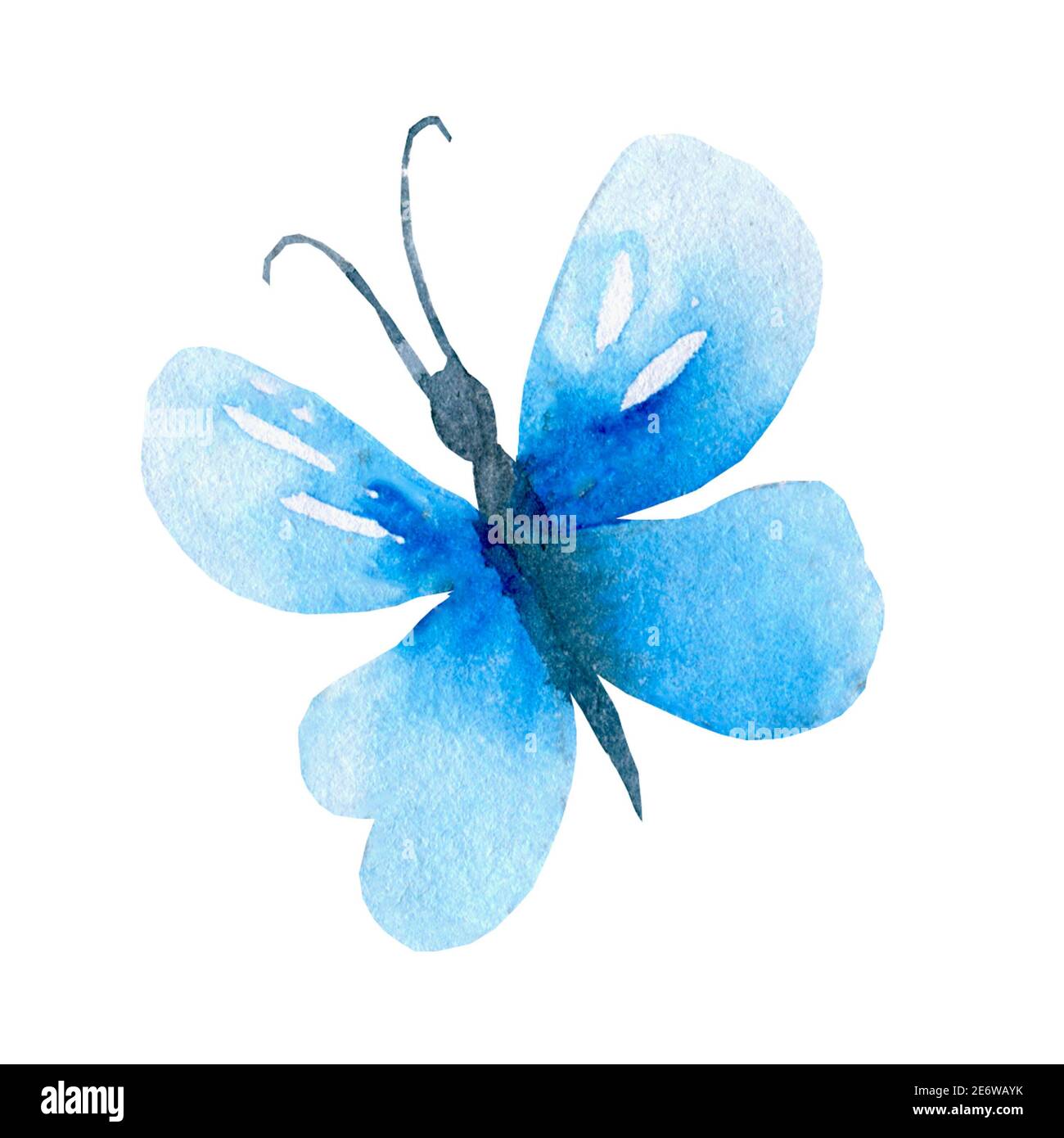 Watercolor Butterfly The Ulysses butterfly Papilio ulysses Stock Photo ...